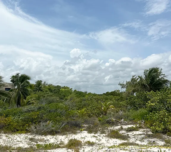 Propiedades en Puerto Juárez, Cancún | Inmobiliaria Exclusiva